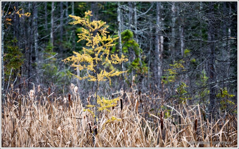 October | 2015 | photodyssey