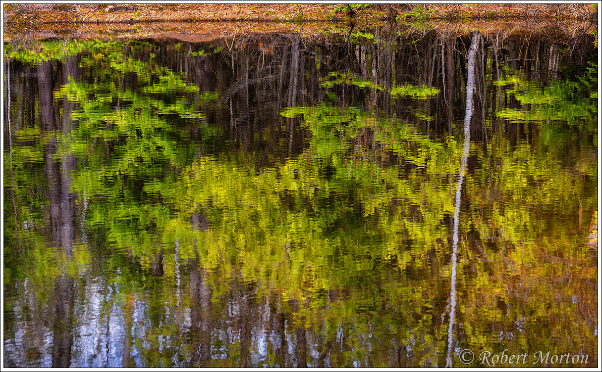 Visual Activity | photodyssey