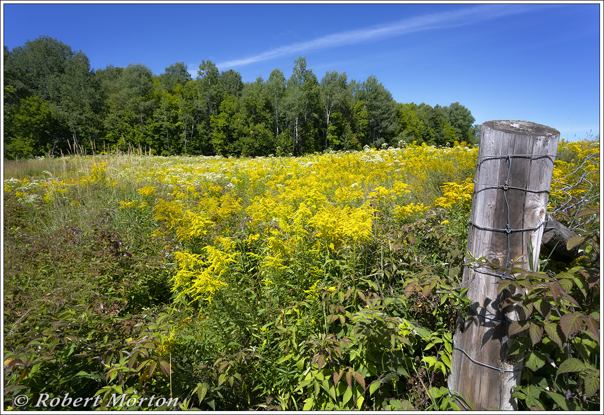 August Colours | photodyssey